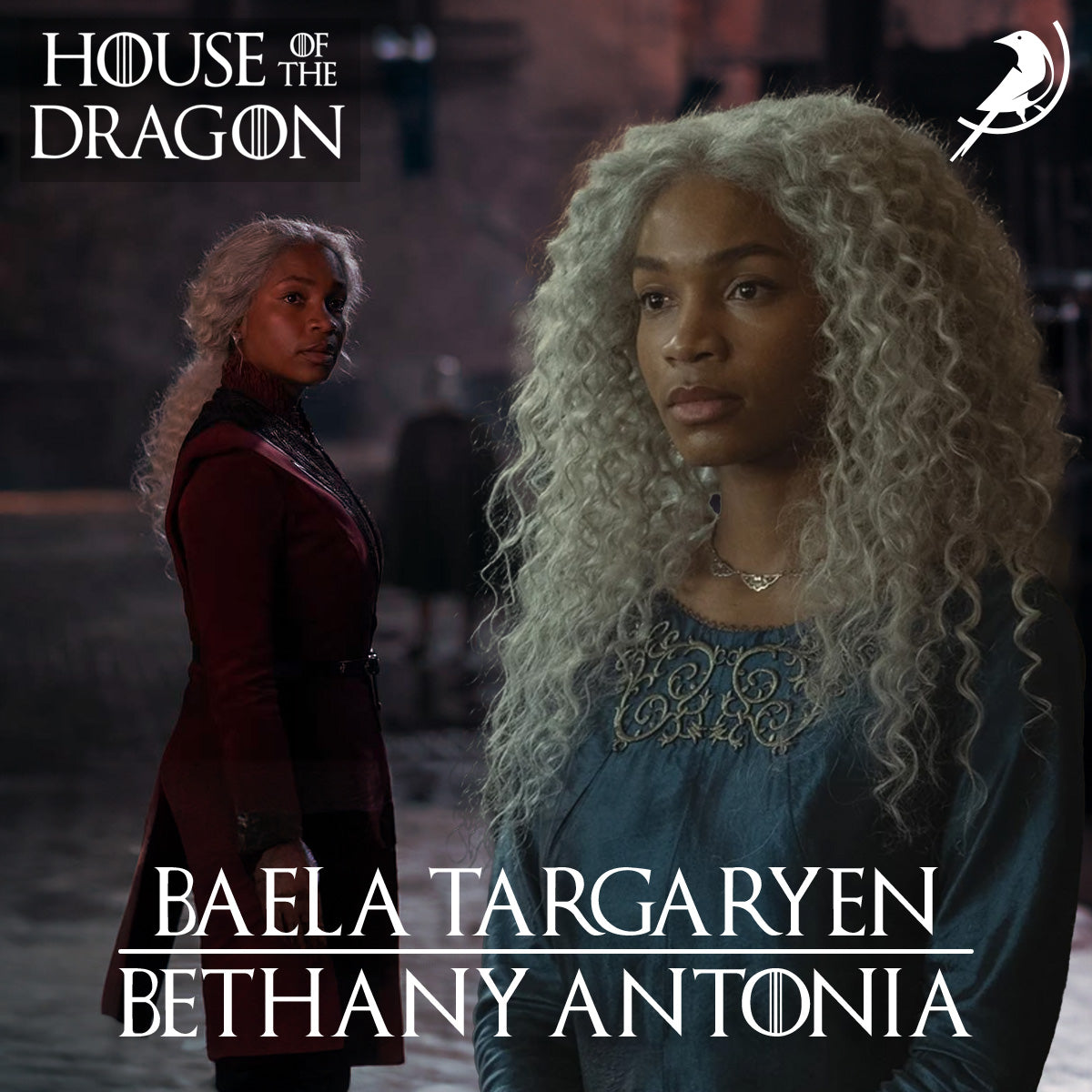 MAGPIE TOYS AUTOGRAPHS – Magpie Toys